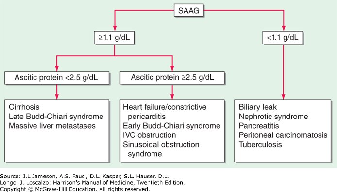 Chapter 45 Ascites Harrisons Manual Of Medicine